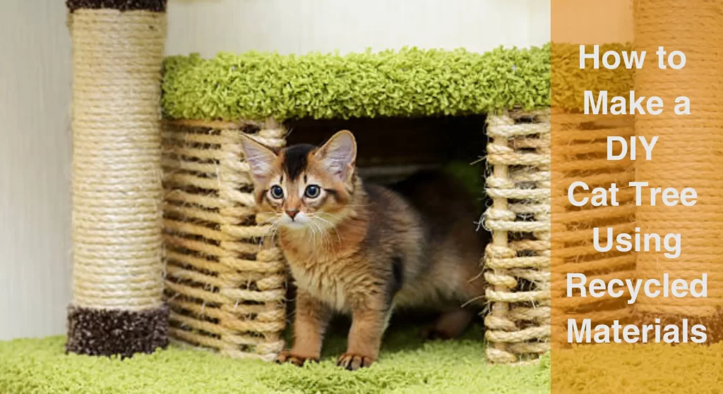 How to Make a DIY Cat Tree Using Recycled Materials - LearnAboutCat